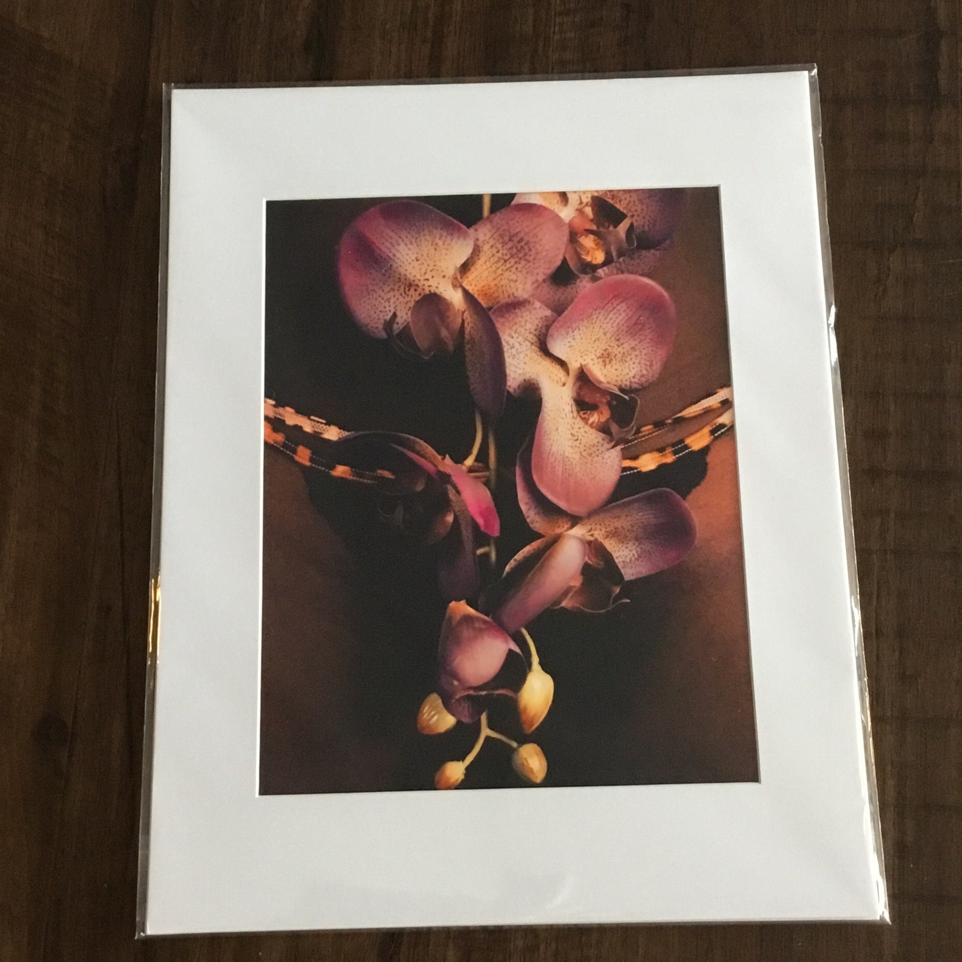 The Simplistic Beauty of the Vulva- (23) Matted Print | Wanderlust Studio